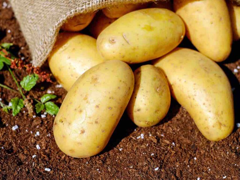 Country Potatoes Recipe - Easy, Crispy and Pan Fried